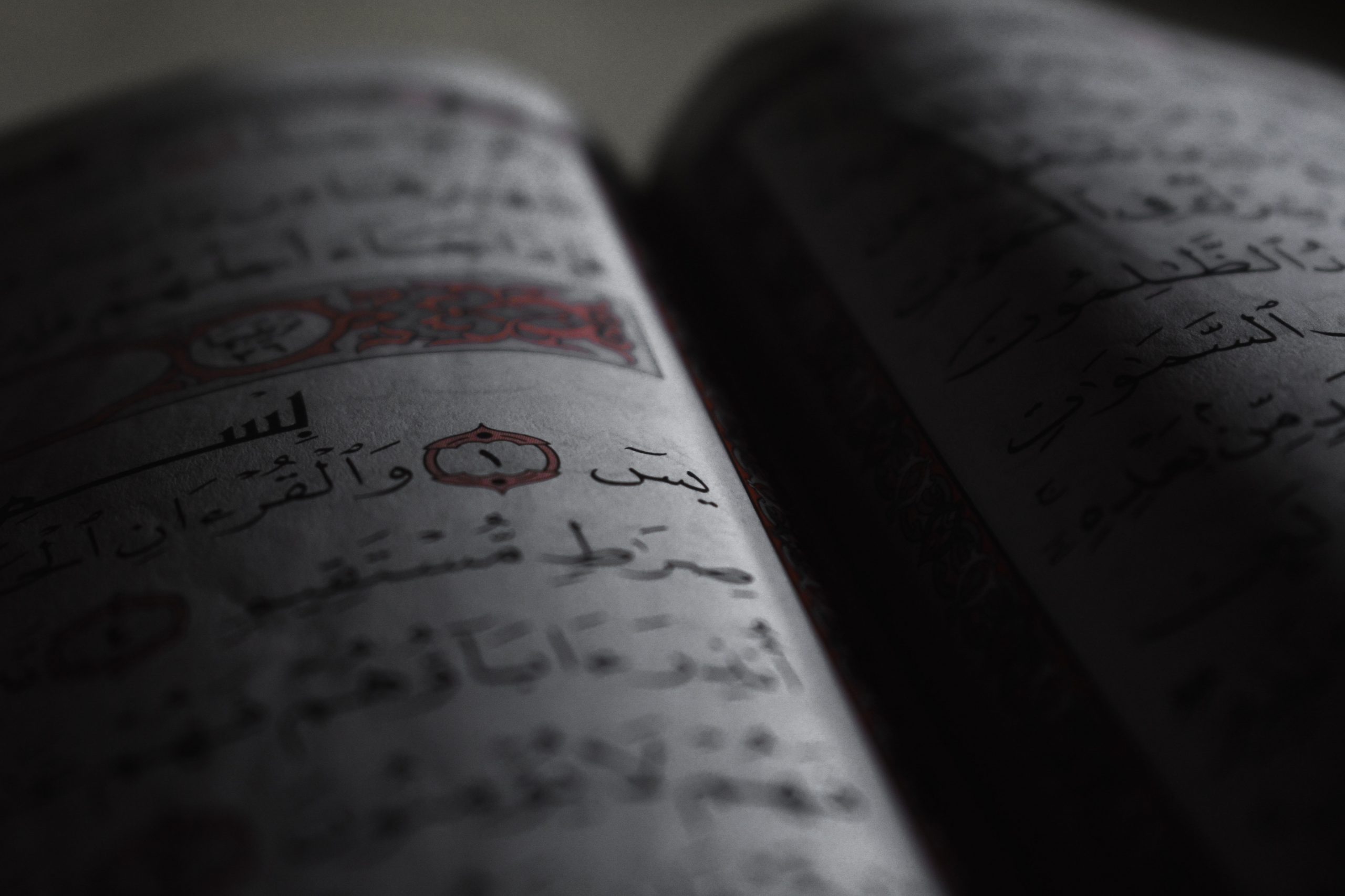 Four Types of Knowledge in Islam – The Awaited One